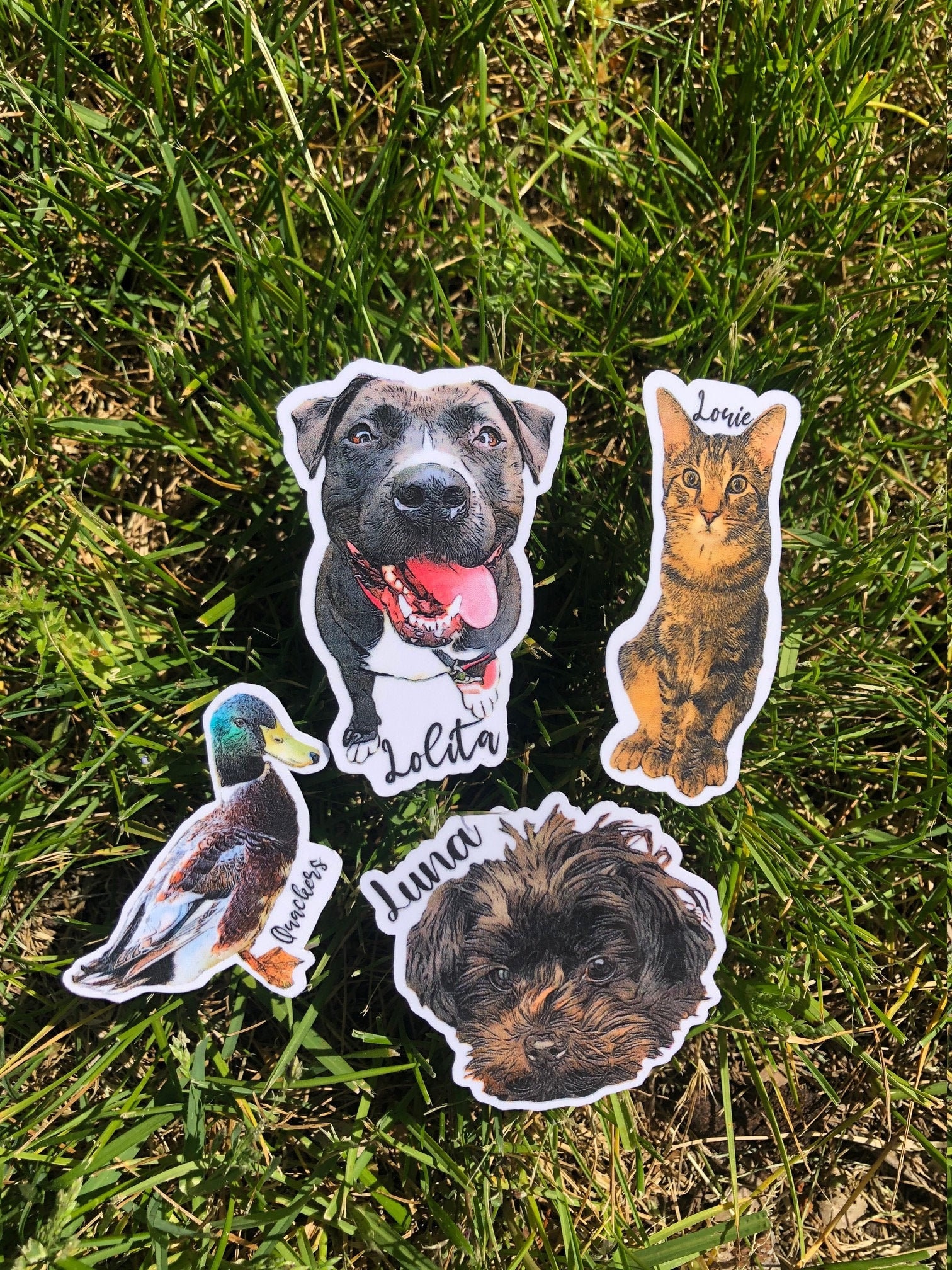 Custom Pet Sticker Custom Dog Sticker Custom Cat Sticker | Etsy