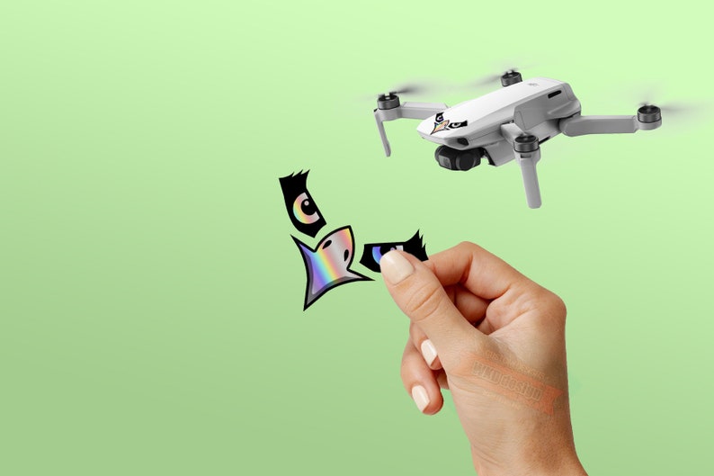 Eagle Eyes Holographic Sticker, Gift for Drone Pilots, MacBook Decal ...