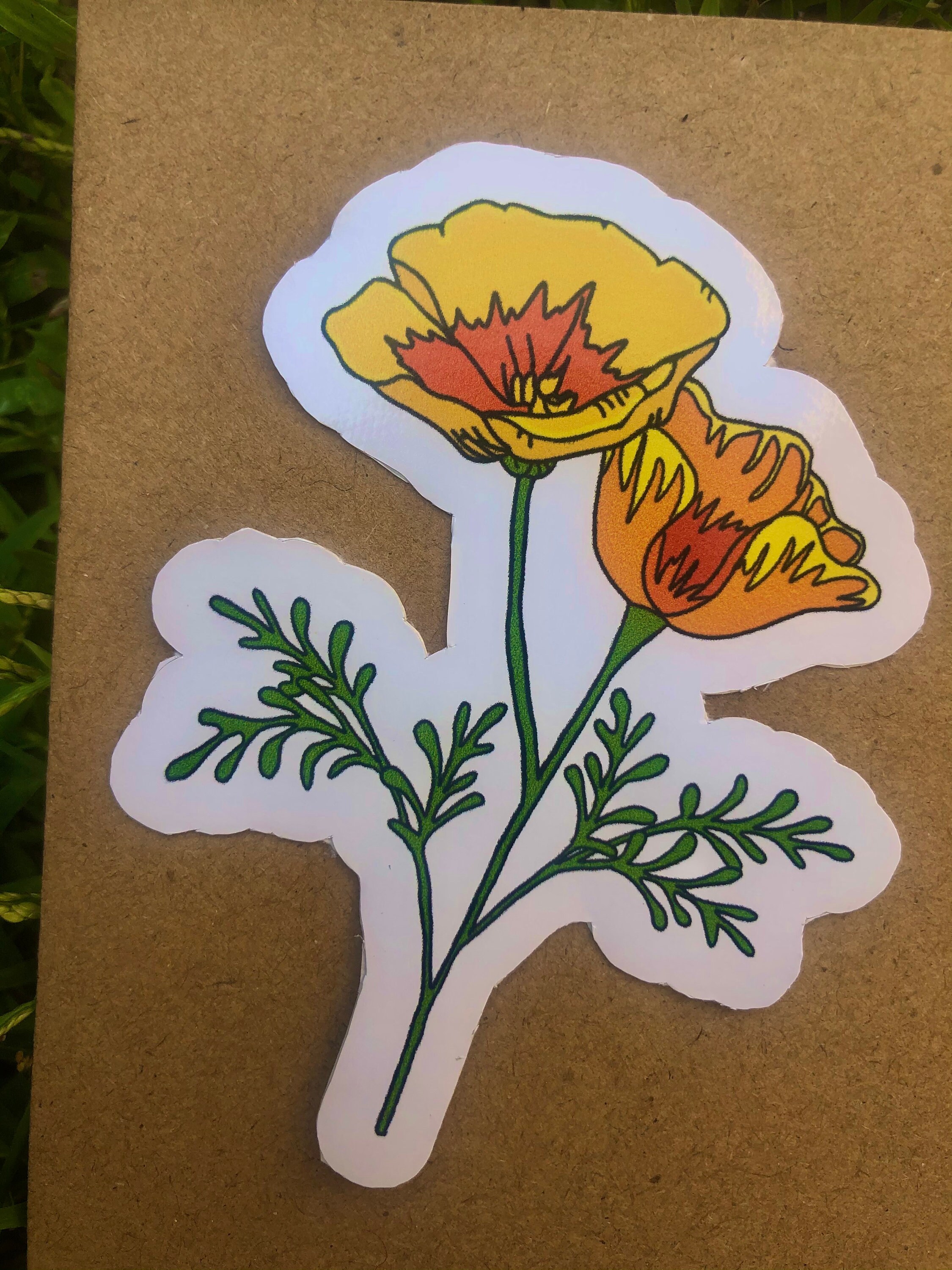 California Poppy Flower Sticker - Etsy