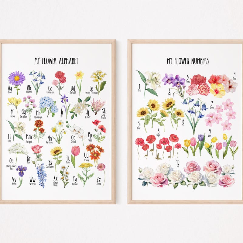 Alphabet Flower Poster - Etsy
