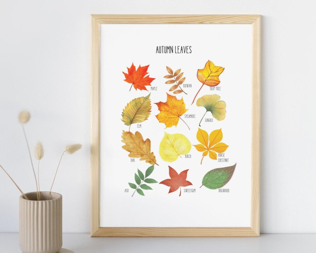 Fall | Autumn Leaves Prints, Educational Wall Art, Learning Home School ...