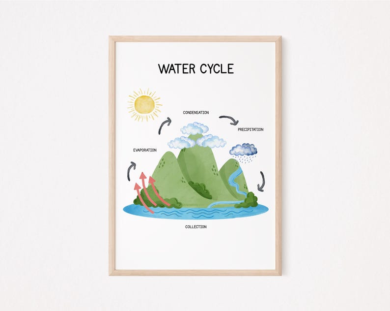 Printable Water Cycle Chart for Kids, the Water Cycle Poster ...