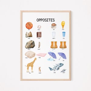 Printable Educational Opposites Chart, Opposite Words Educational ...