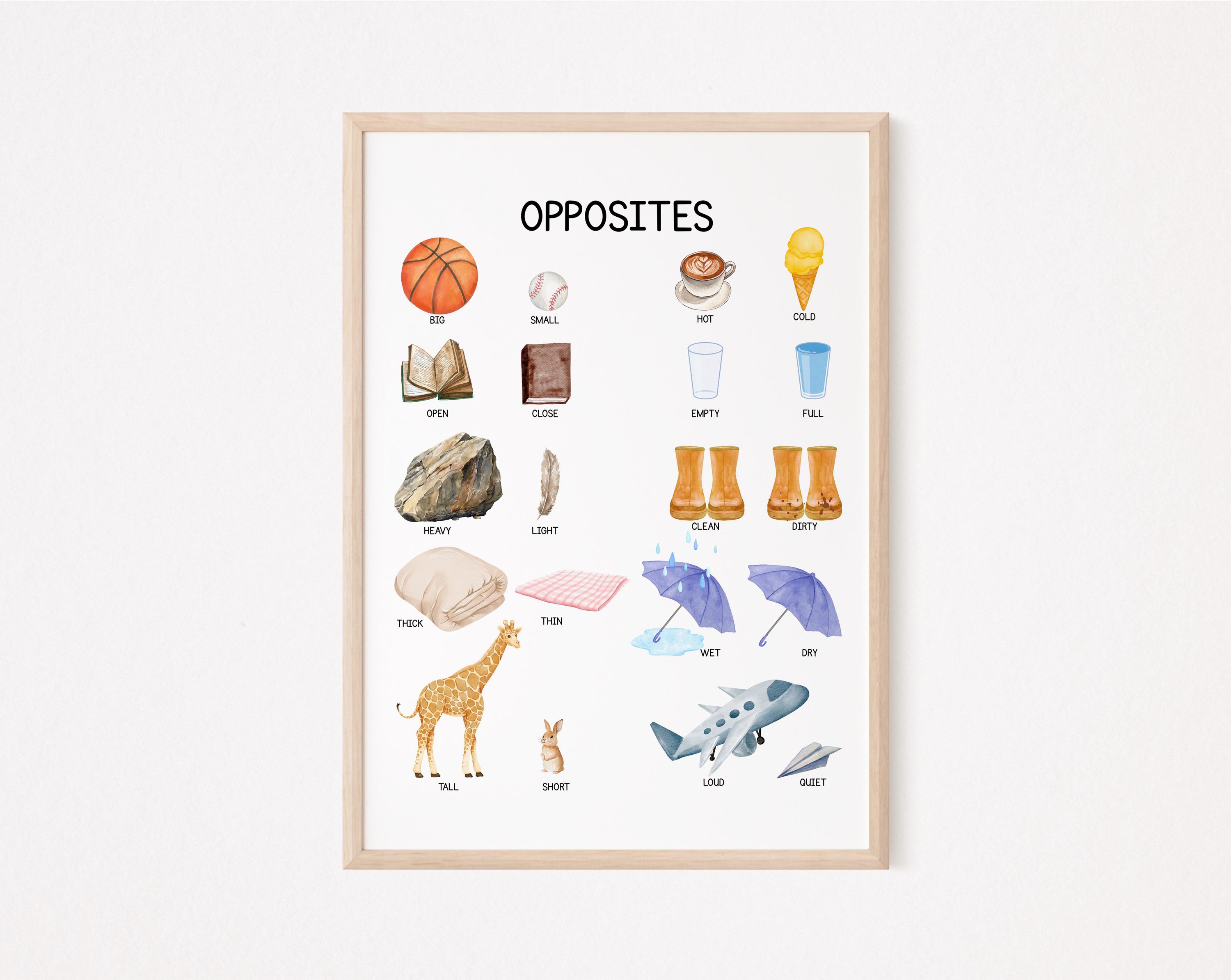 Printable Educational Opposites Chart, Opposite Words Educational ...