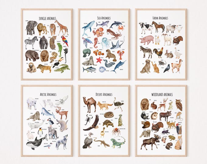 Animals Poster - Etsy Canada