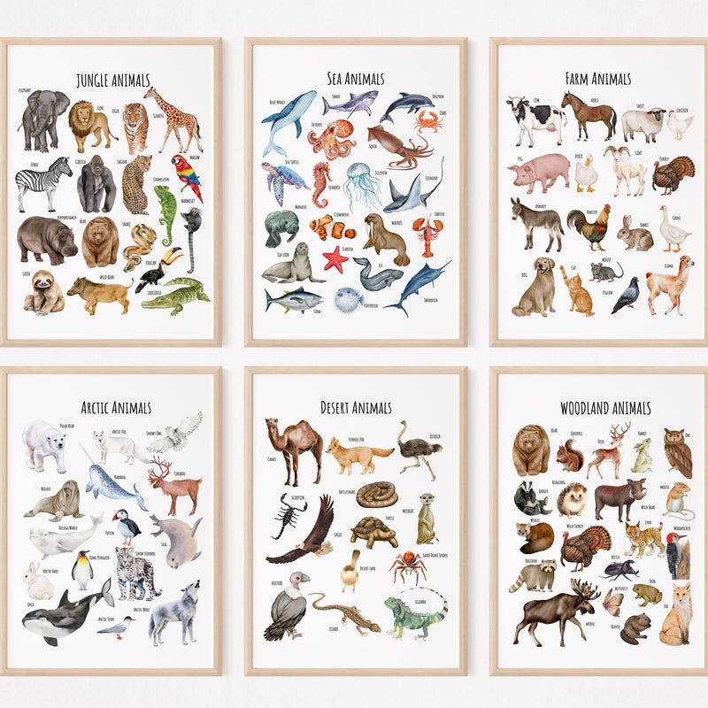 Animals Poster - Etsy