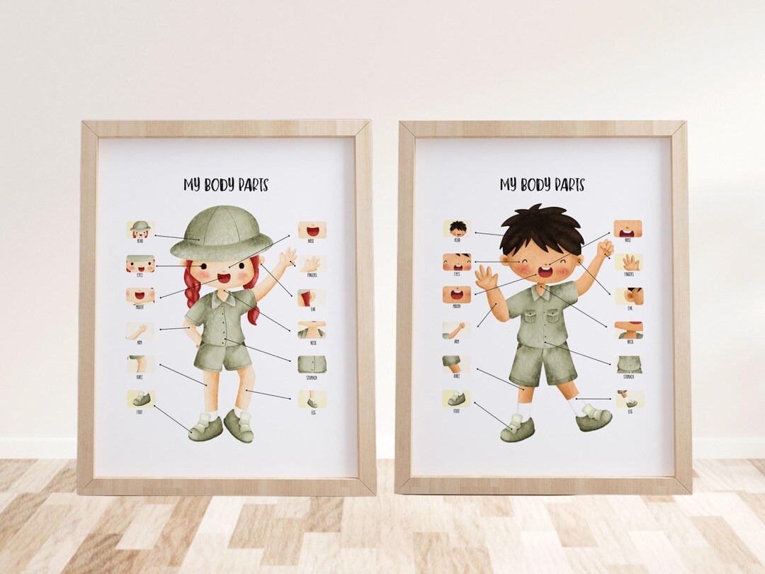 Body Parts Poster, My Body Educational Posters, Montessori Preschool ...