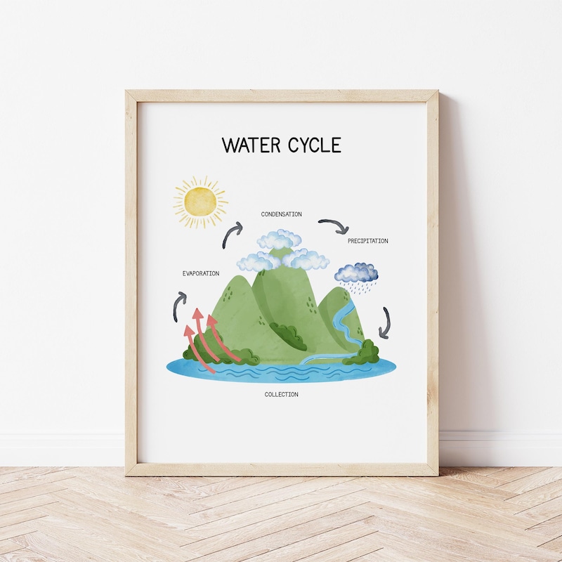 Water Cycle Poster - Etsy