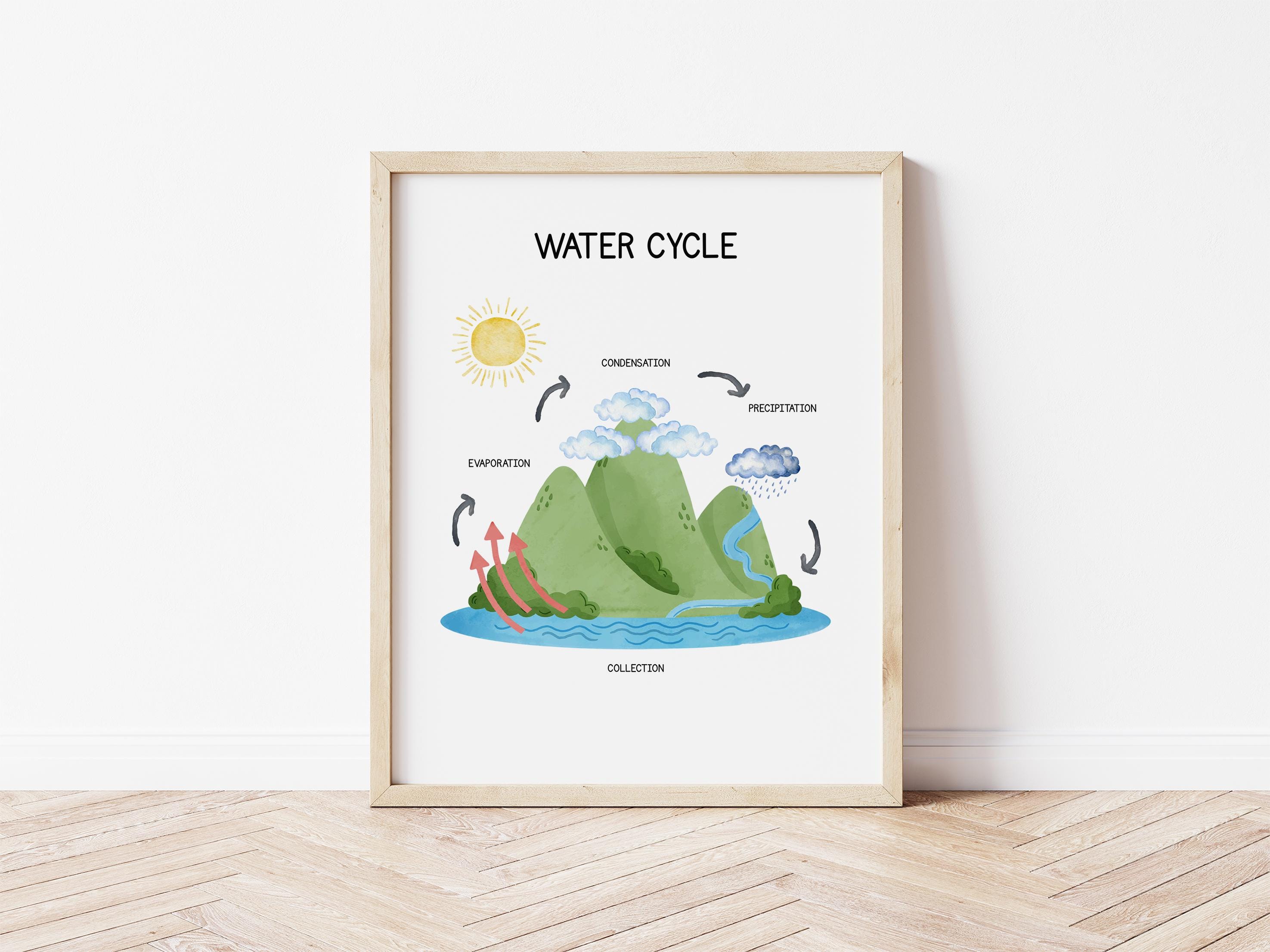 Printable Water Cycle Chart for Kids, the Water Cycle Poster ...