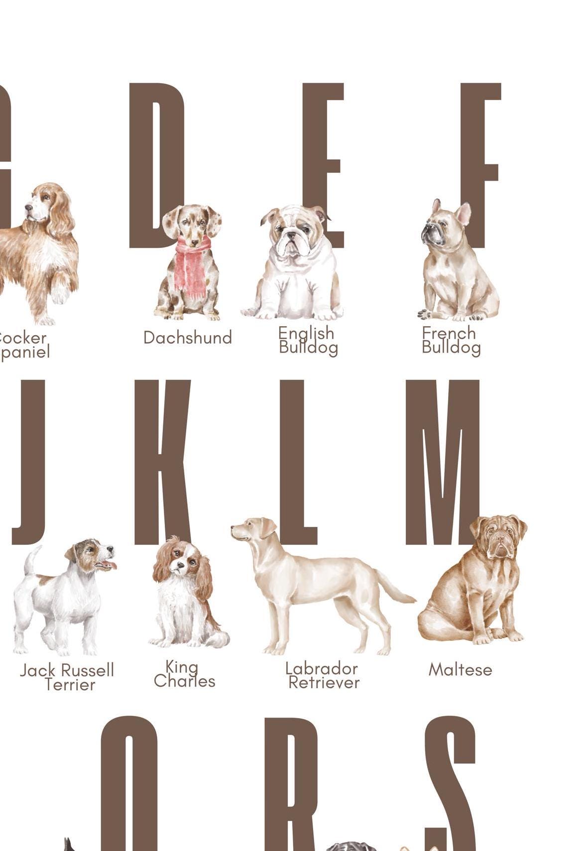 Dog Alphabet Poster, ABC Animals Watercolor, Dog Breed Alphabet Nursery ...