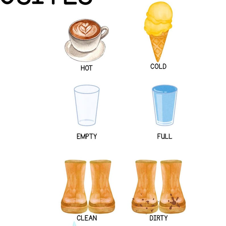 Printable Educational Opposites Chart, Opposite Words Educational ...