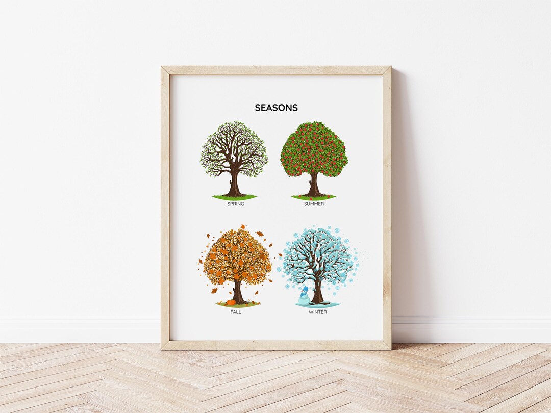 4 Seasons Poster Montessori Toddler Education, Educational Poster ...