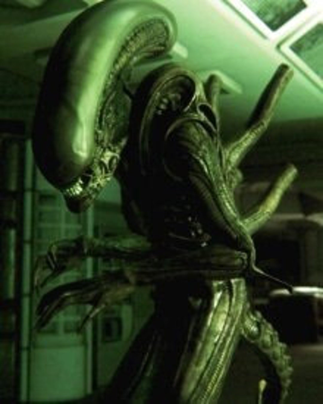 Xenomorph Alien 1:1 Scale Lifesize Statue - Etsy