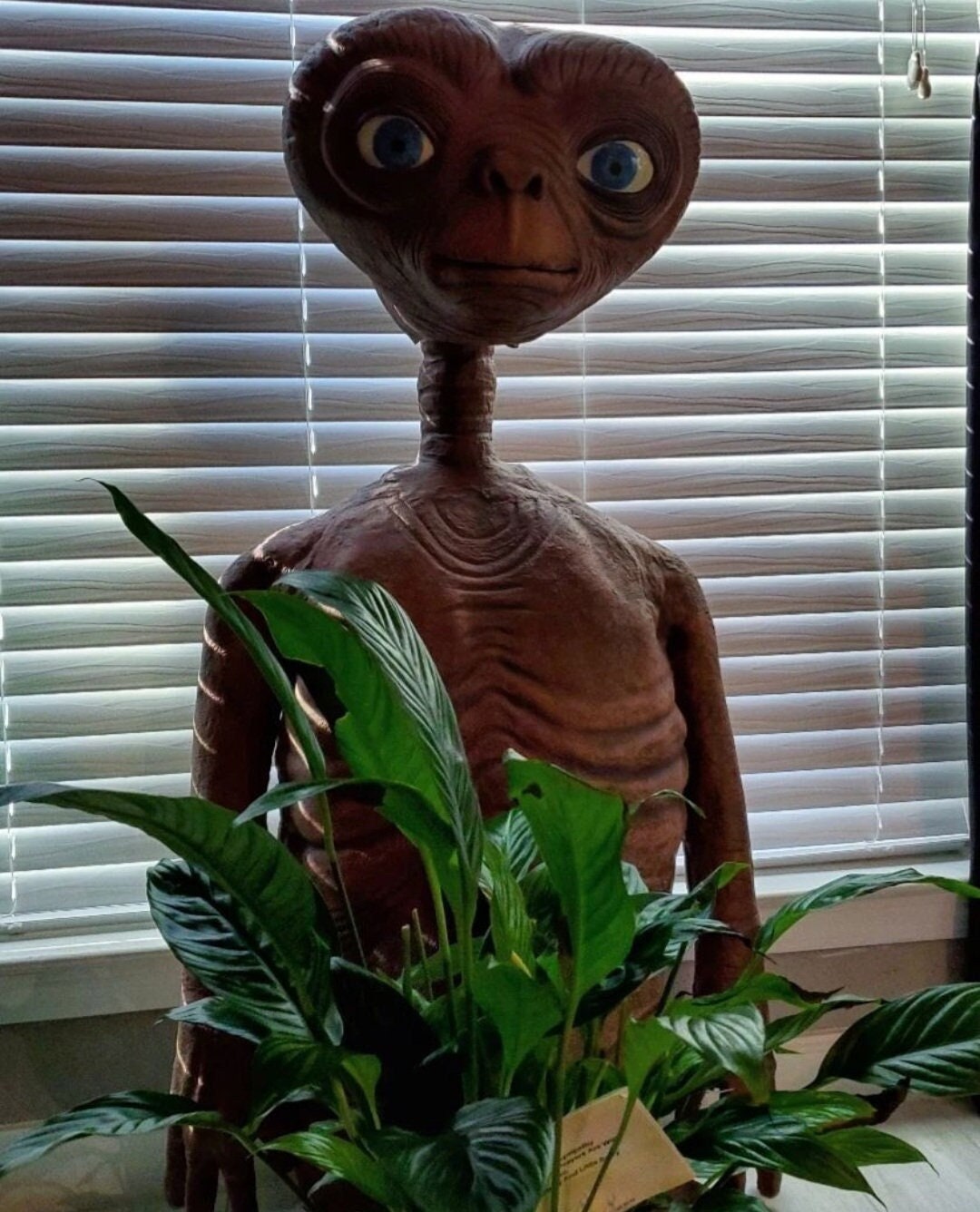 E.T. the Extra Terrestrial 1:1 Scale Lifesize Statue - Etsy Australia
