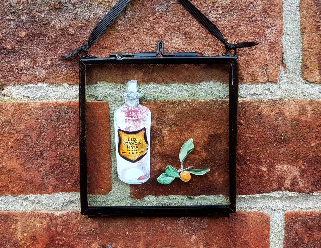 Floating Hanging Glass Frame Poison Bottle, Strychnine - Etsy
