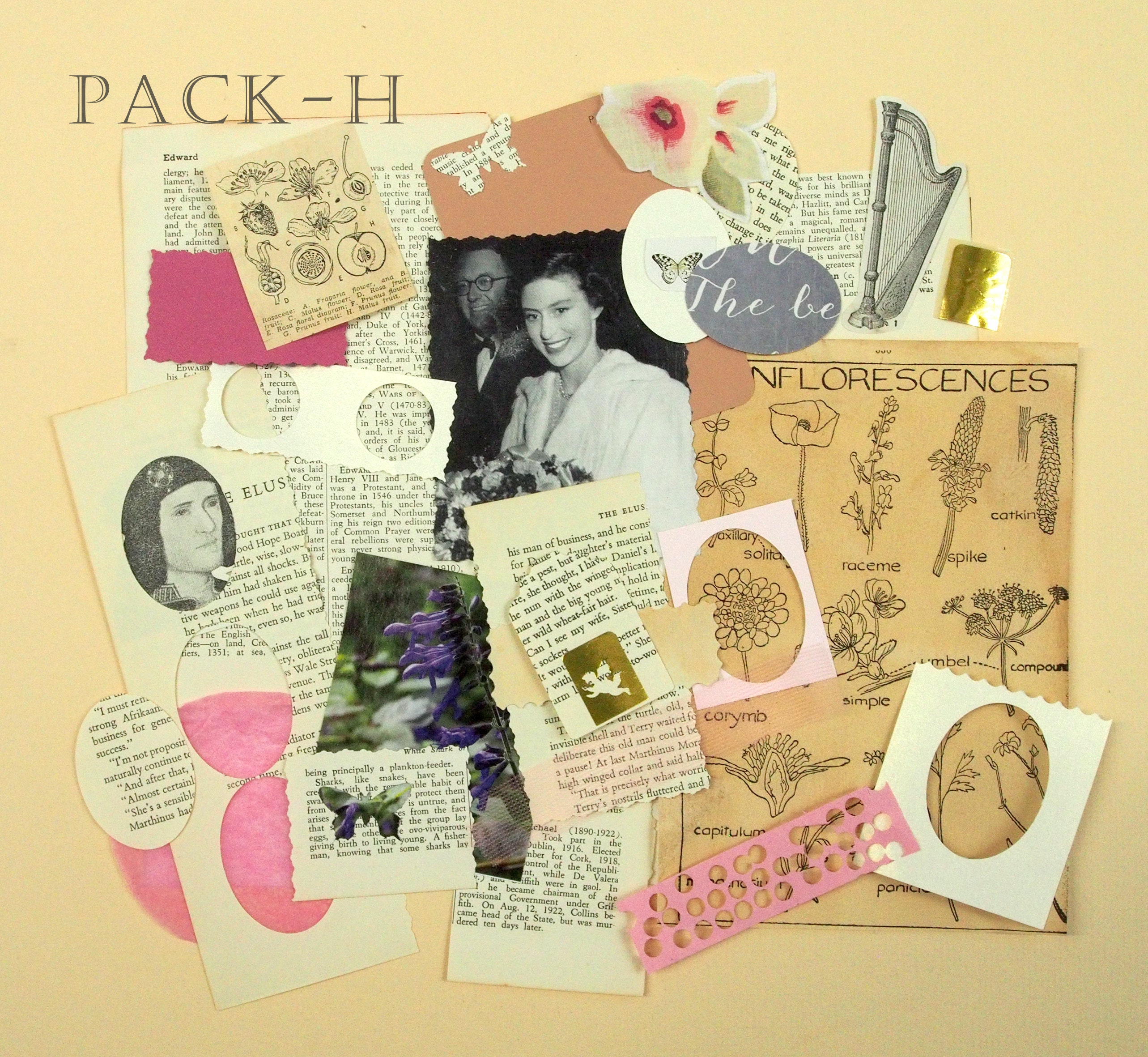 Paper journal paper pieces Craft supply Collage set snail mail VINTAGE ...