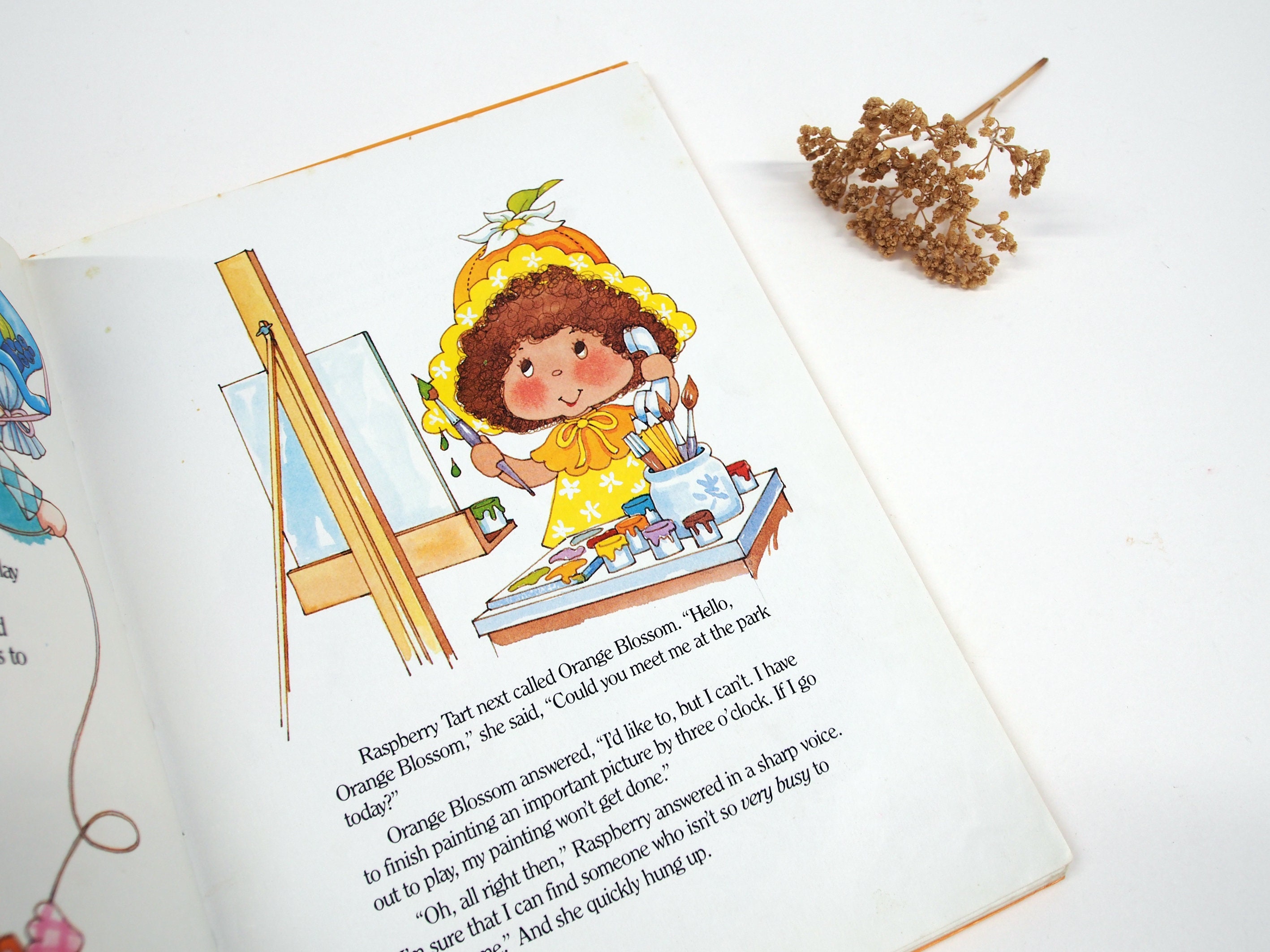 STRAWBERRY SHORTCAKE and the Birthday Surprise/vintage Storybook/1983 ...