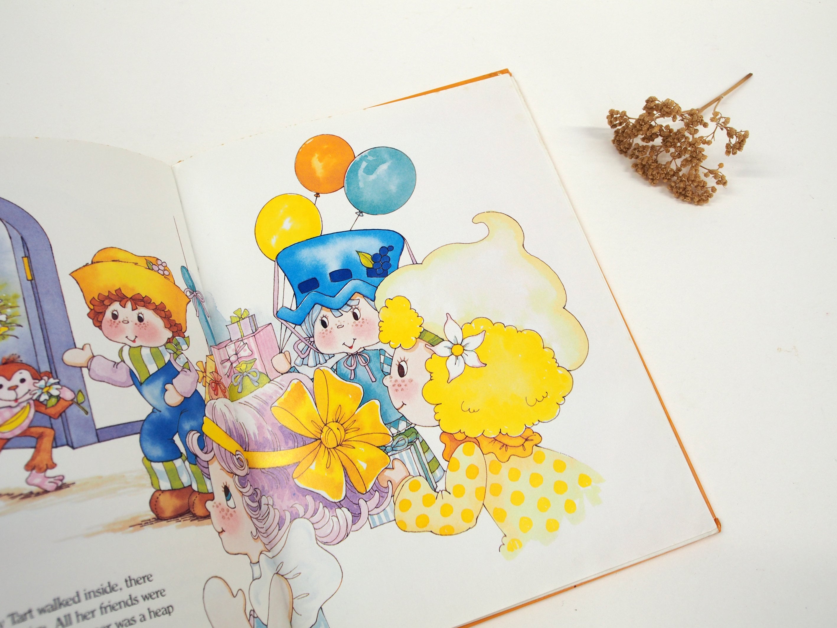 STRAWBERRY SHORTCAKE and the Birthday Surprise/vintage Storybook/1983 ...