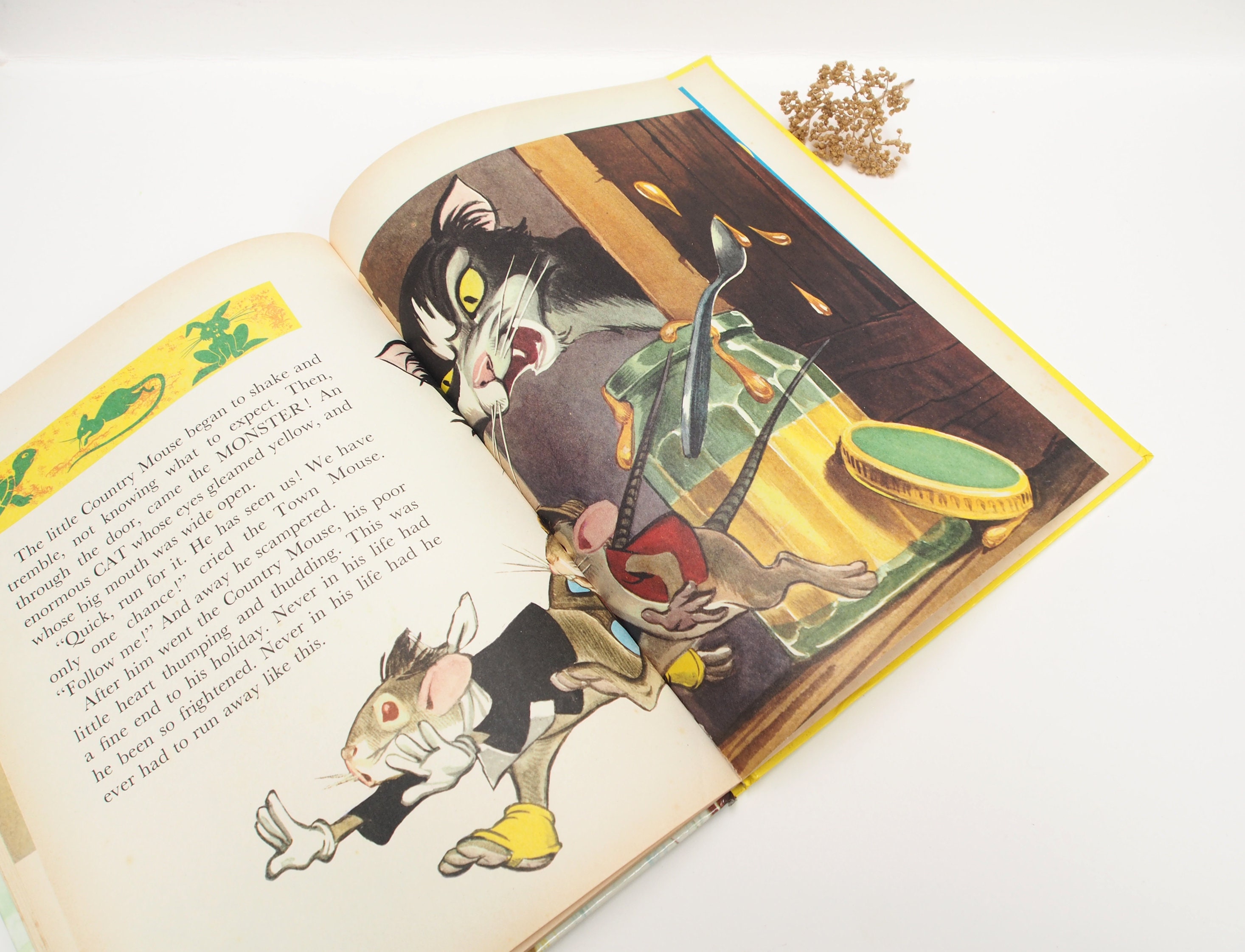 THE LION and the Mouse/odhams All Colour Book/vintage - Etsy