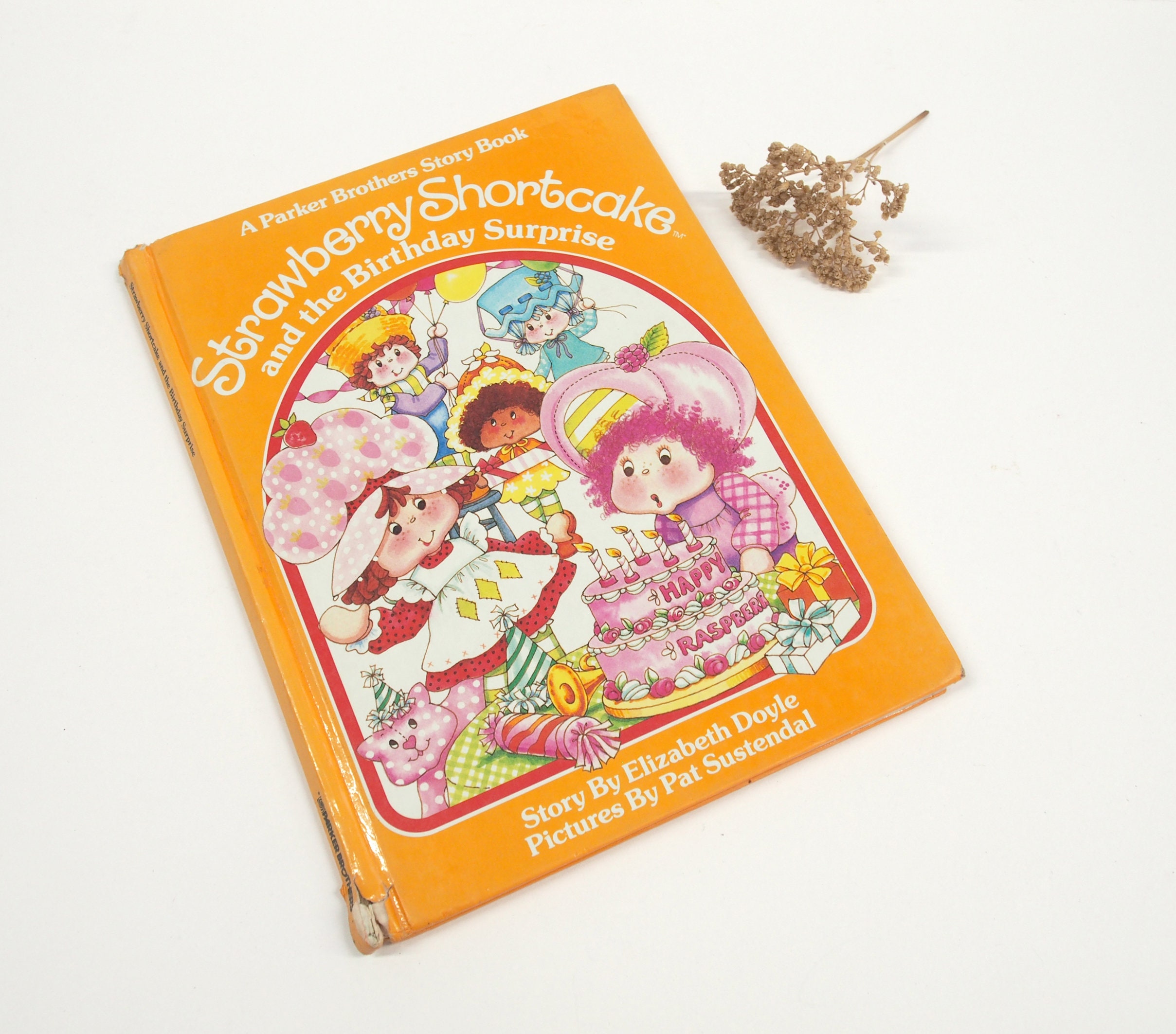 STRAWBERRY SHORTCAKE and the Birthday Surprise/vintage Storybook/1983 ...
