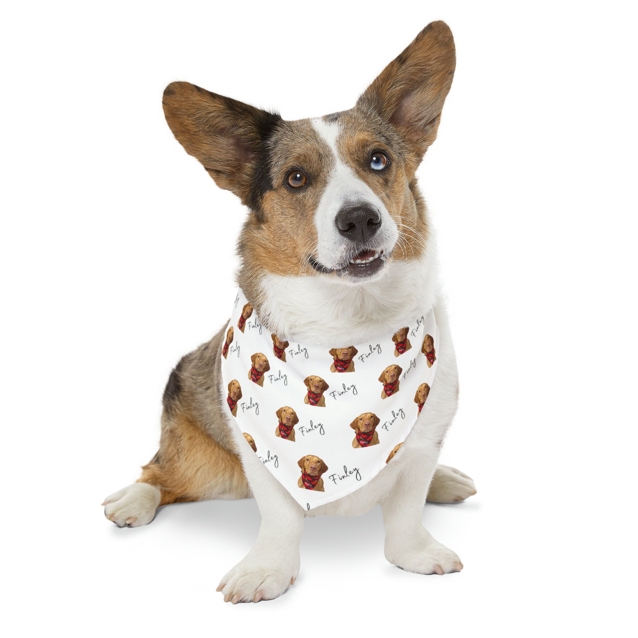 Pet Collar Bandana, Custom Dog Face Bandana, Personalized Dog Photo ...