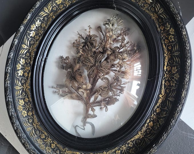 Sentimental Heirloom - Dutch Hairwork With Gilded Details and a ...