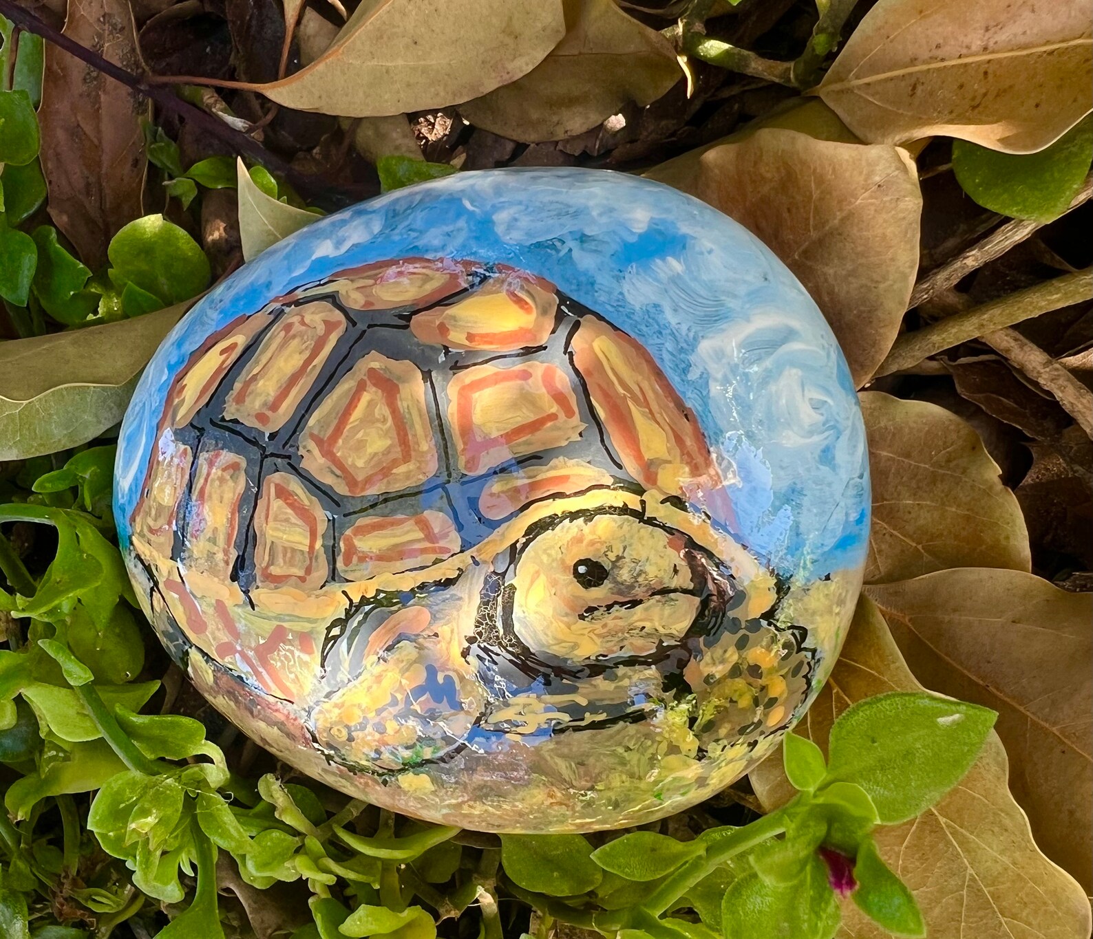 TORTOISE PEBBLE PET - Etsy