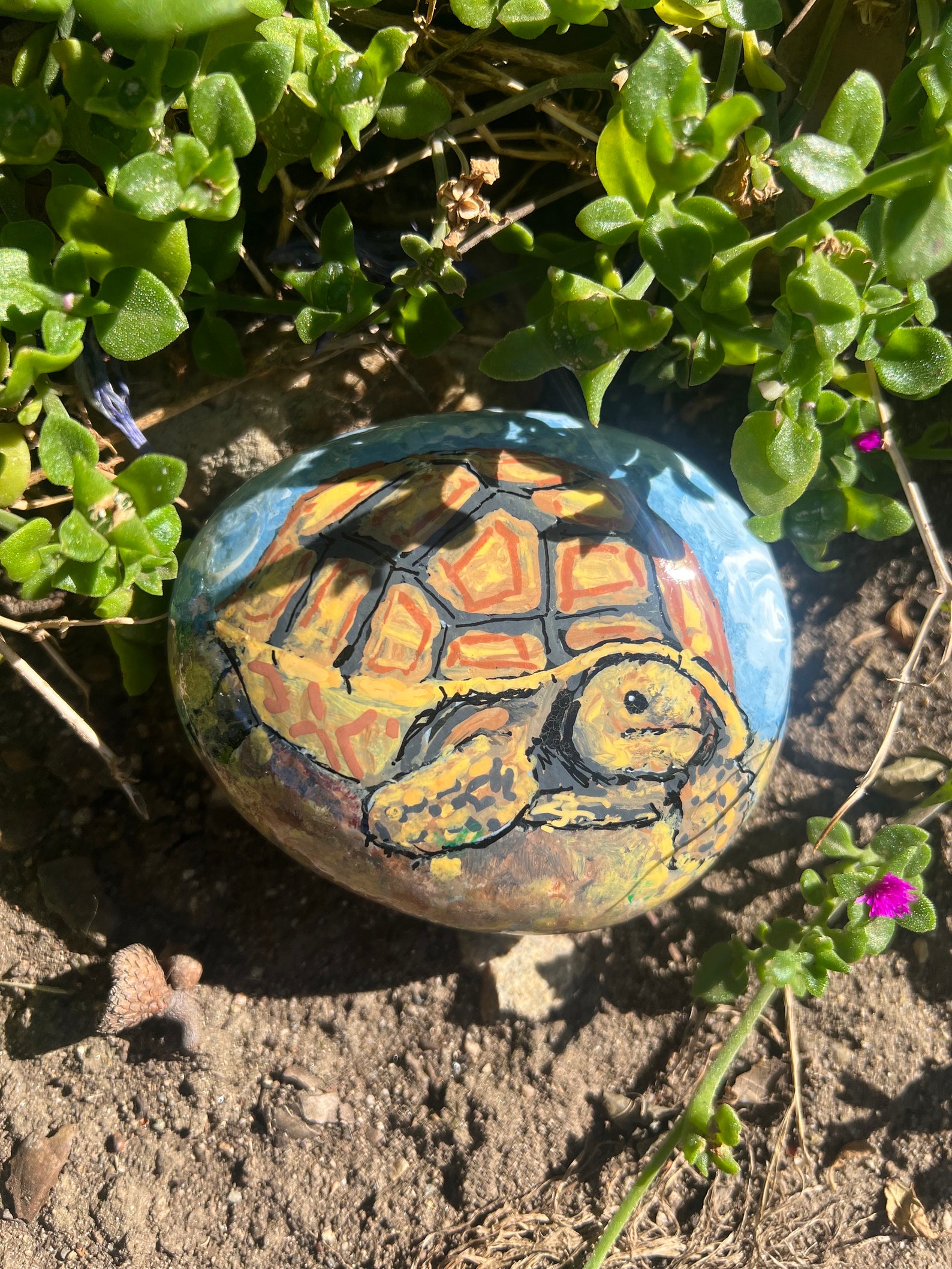 TORTOISE PEBBLE PET - Etsy