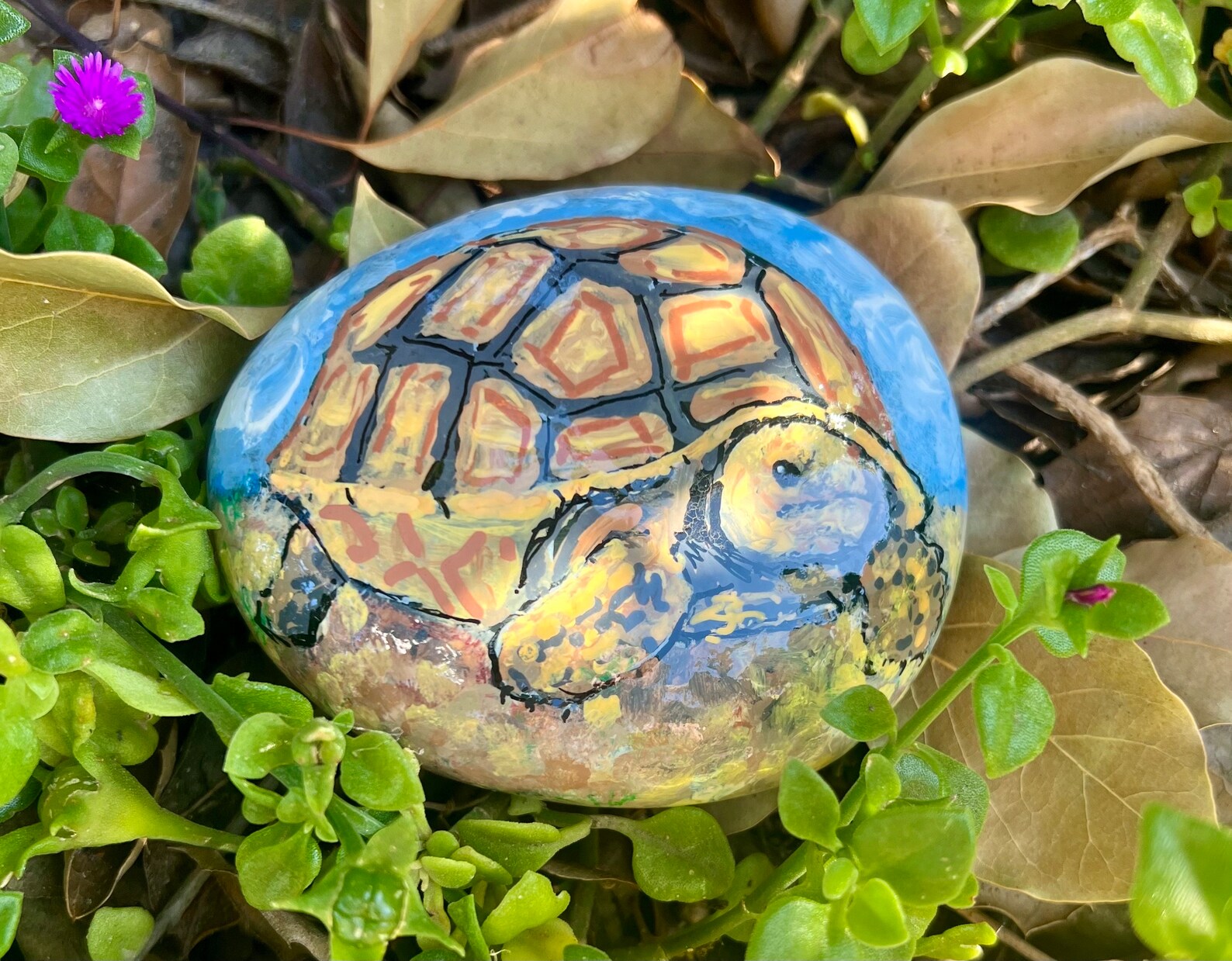 TORTOISE PEBBLE PET - Etsy
