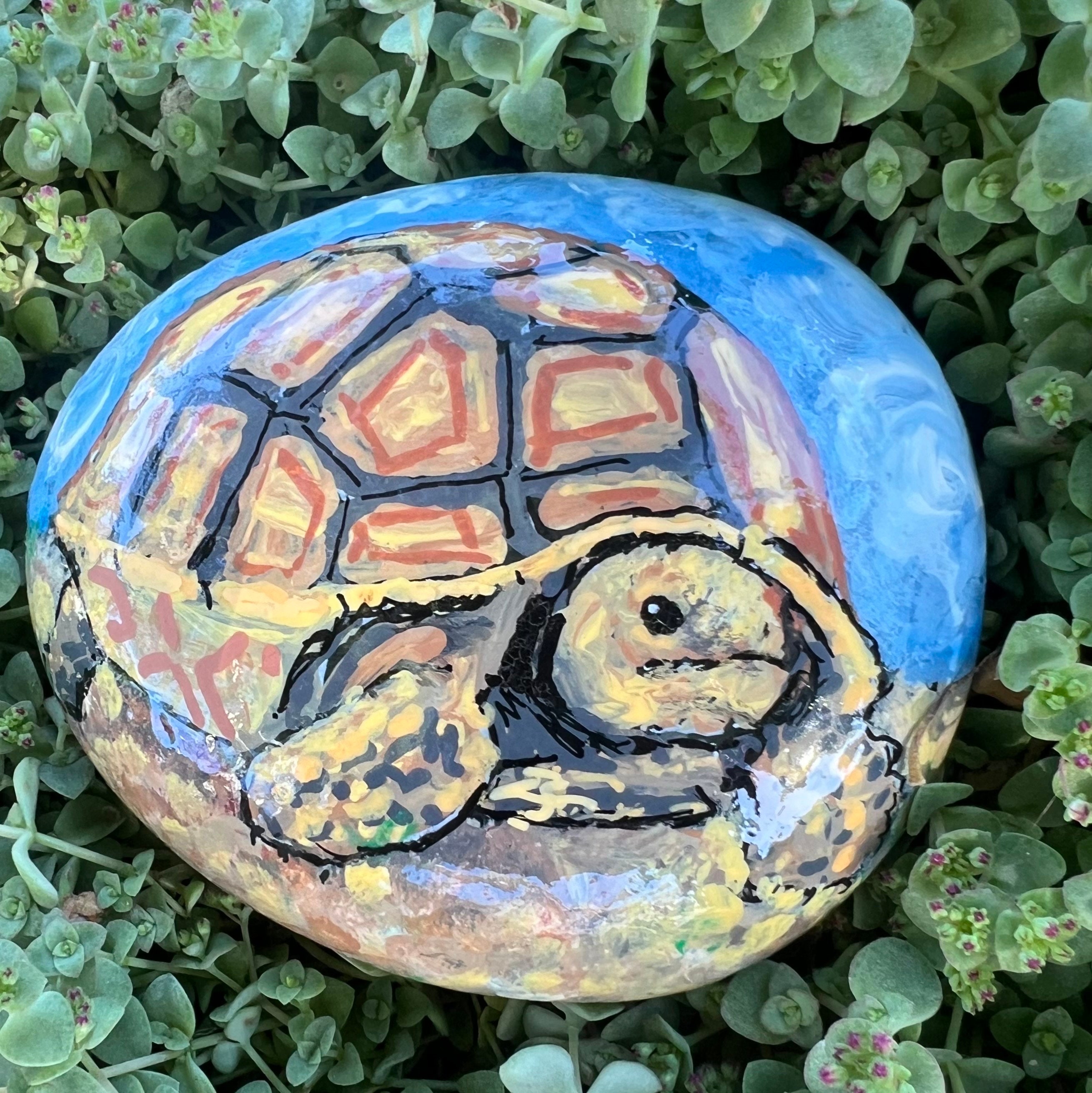 TORTOISE PEBBLE PET - Etsy