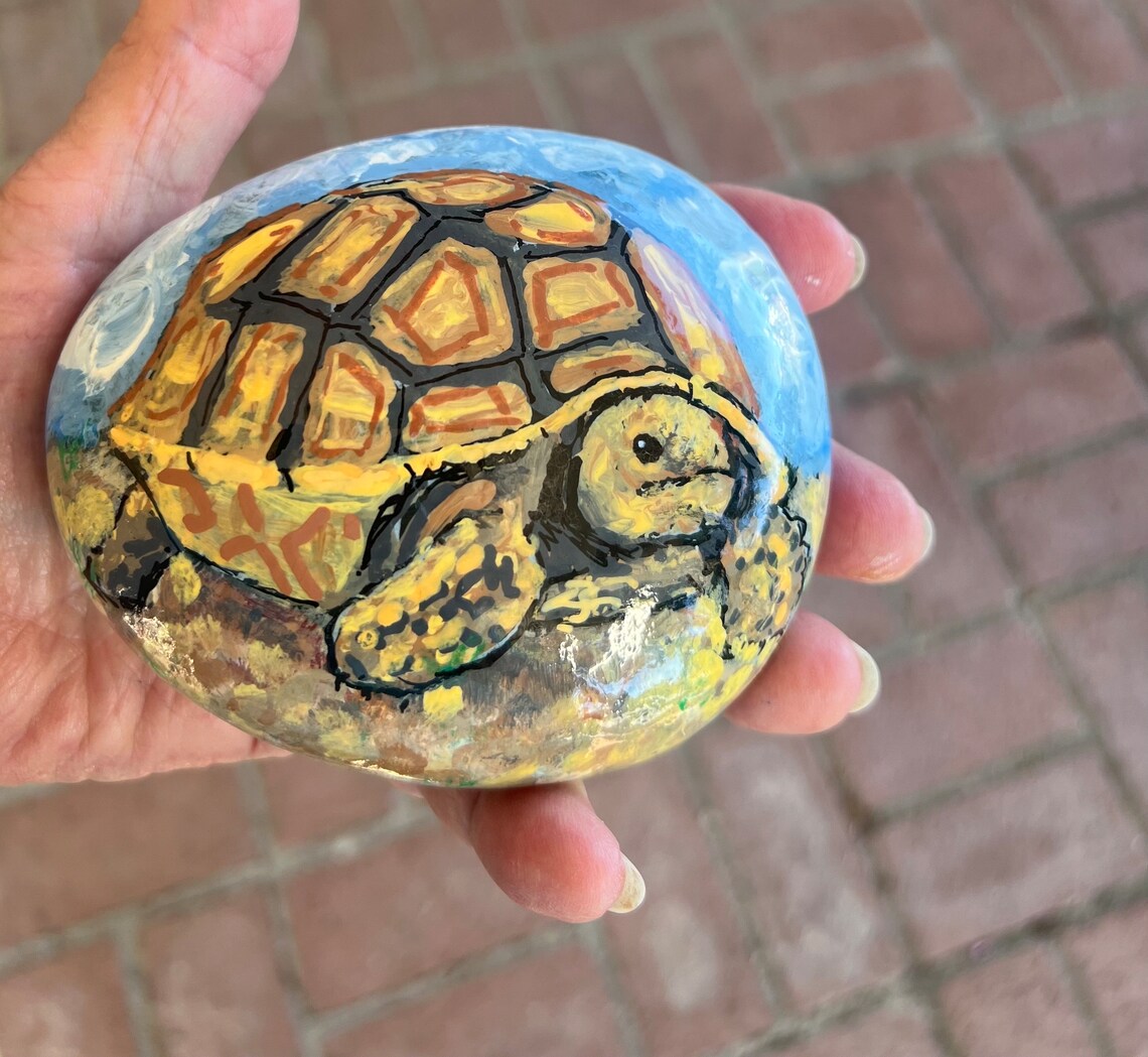 TORTOISE PEBBLE PET - Etsy