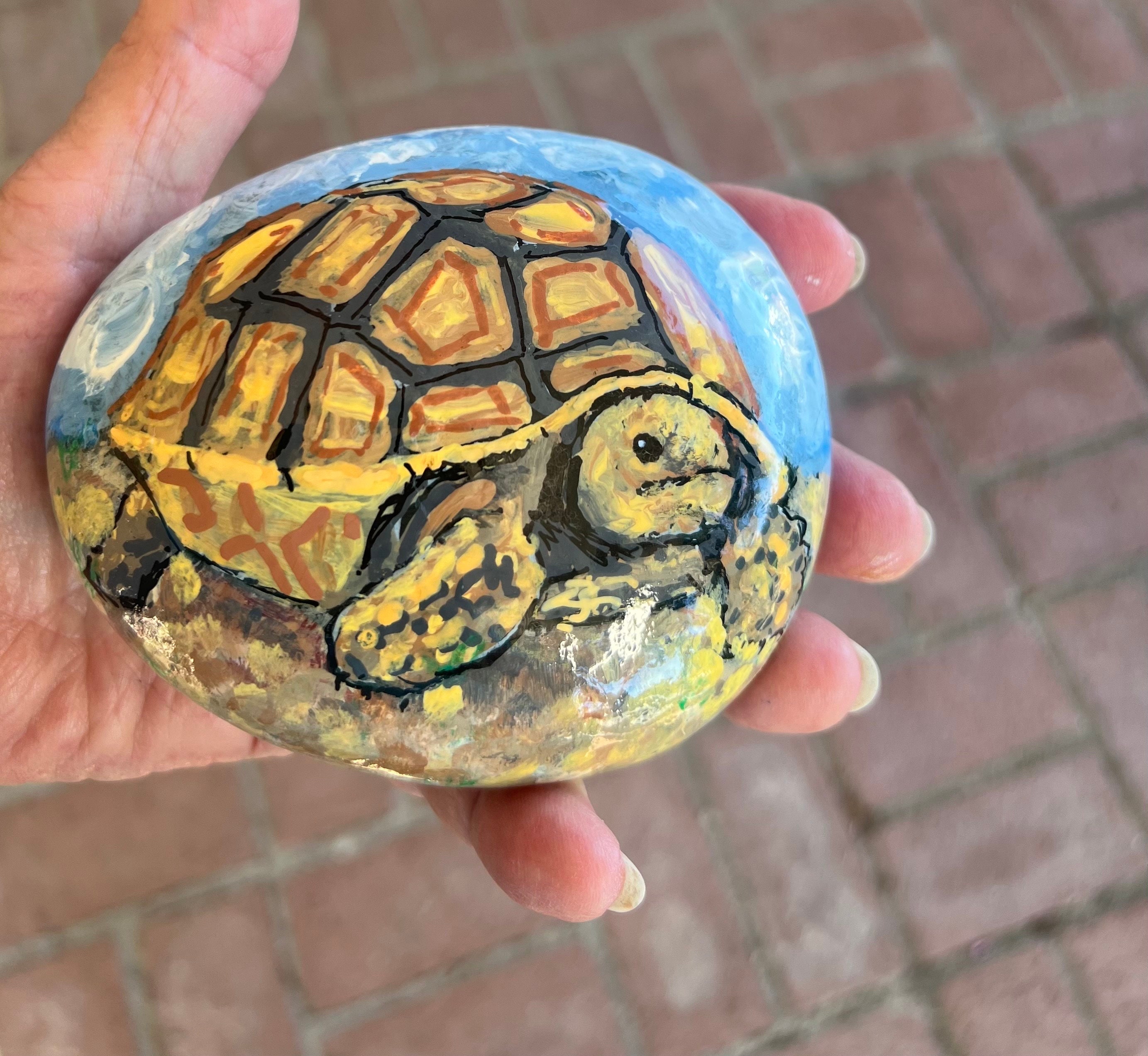 TORTOISE PEBBLE PET - Etsy