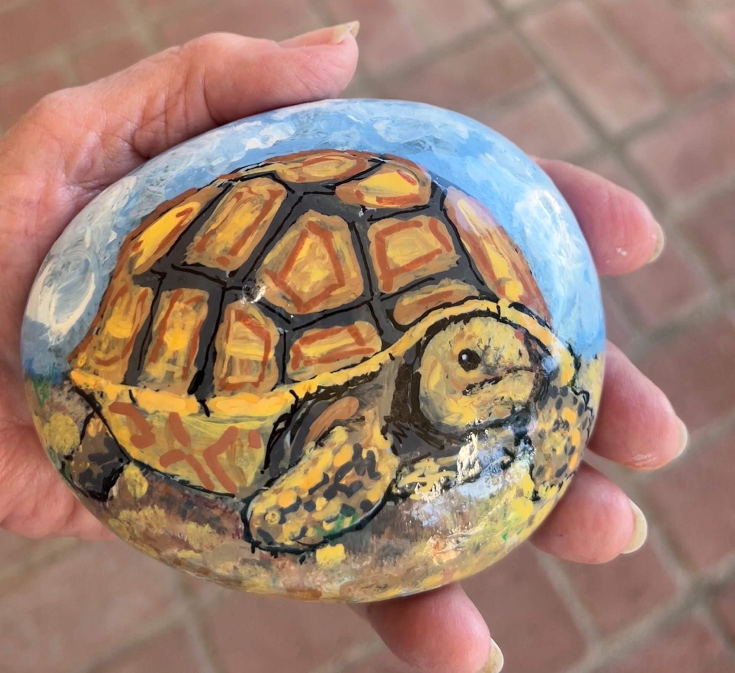 TORTOISE PEBBLE PET - Etsy