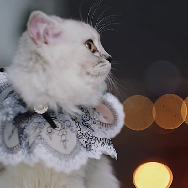 Lace Cat Collar - Etsy