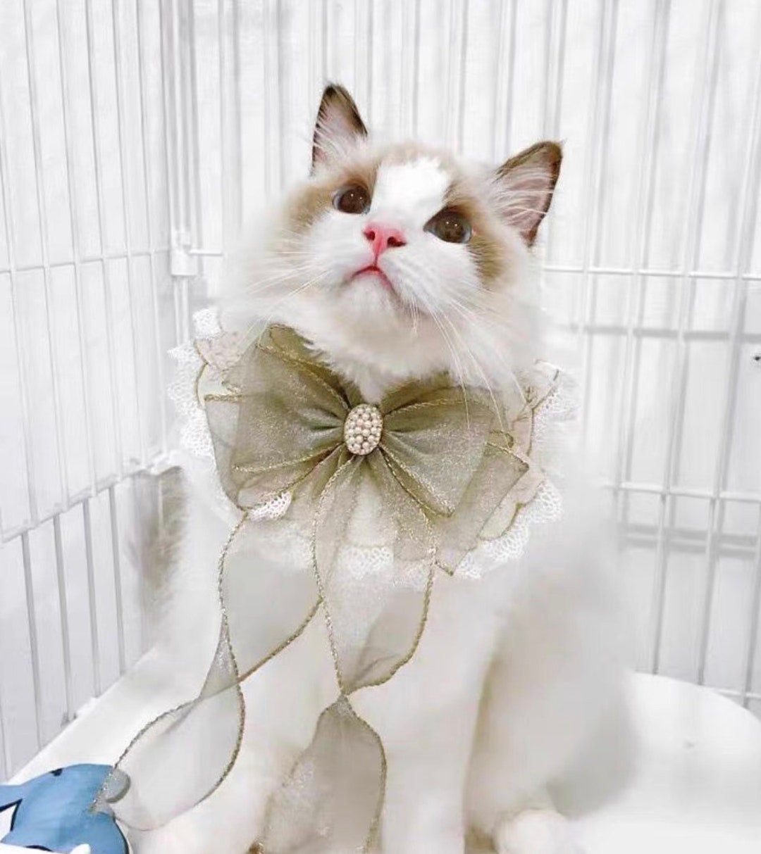 Beautiful Handmade Collar, Pet Party, Wedding Lace Collar, Pet Jewelry ...