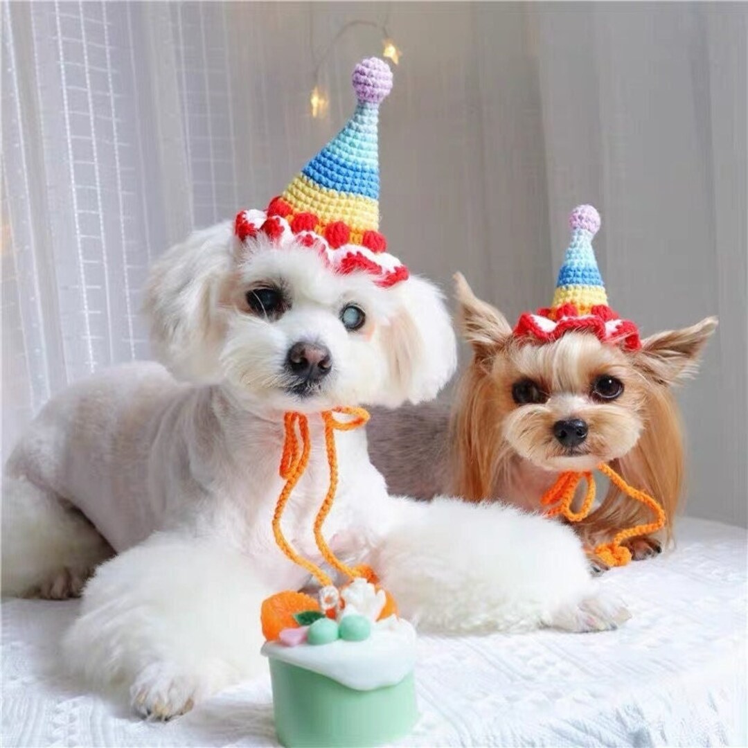 Handmade Crochet Dogs Cats Party Hat, Animal Photo Prop, Pet Birthday ...