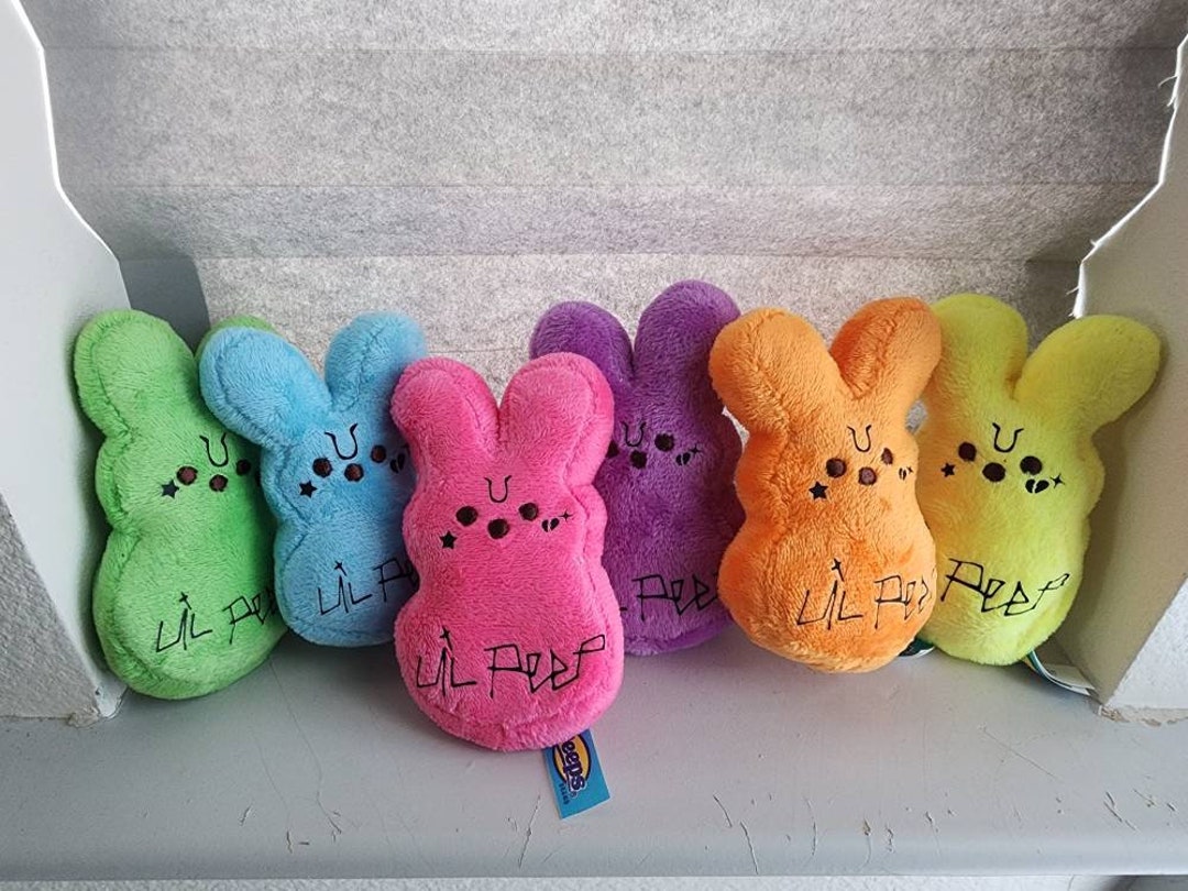 Lil Peep OR Lil Tracy 4-8 Inch Tatted Peep Plushies - Etsy