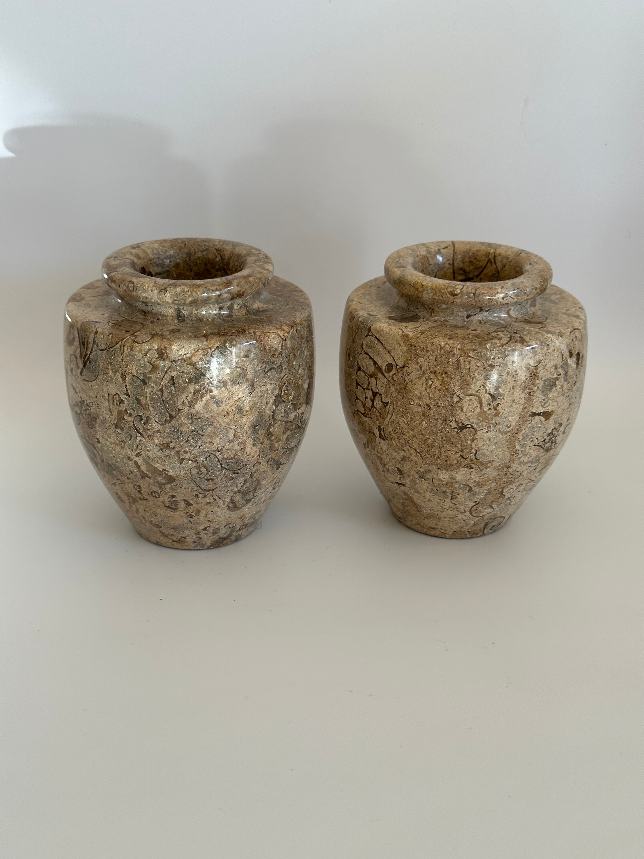 Vintage Ammonite Fossil Stone Vase - Etsy