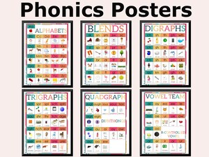 Phonics Binder Reading Intervention Fluency Phonics Curriculum Book ...