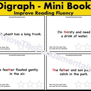 Phonics Digraph Sentence Reading Mini Book - Engaging Learning Resource ...