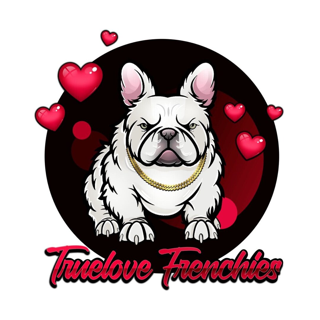 Custom Pet Logo Design, Pet Boutique Logo, Brand Logo, Pet Breeder Logo ...