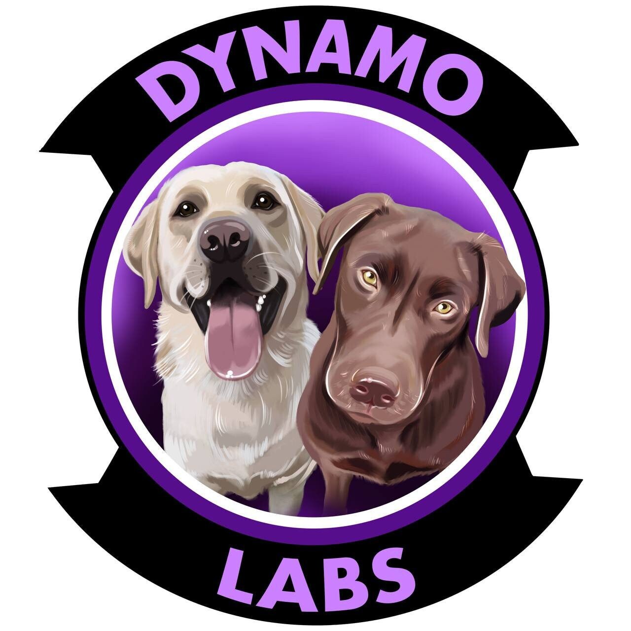 Custom Pet Logo Design Pet Boutique Logo Brand Logo Pet - Etsy