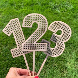 Rattan Number Cake Topper, Cane Inspired Cake Topper, Boho First ...
