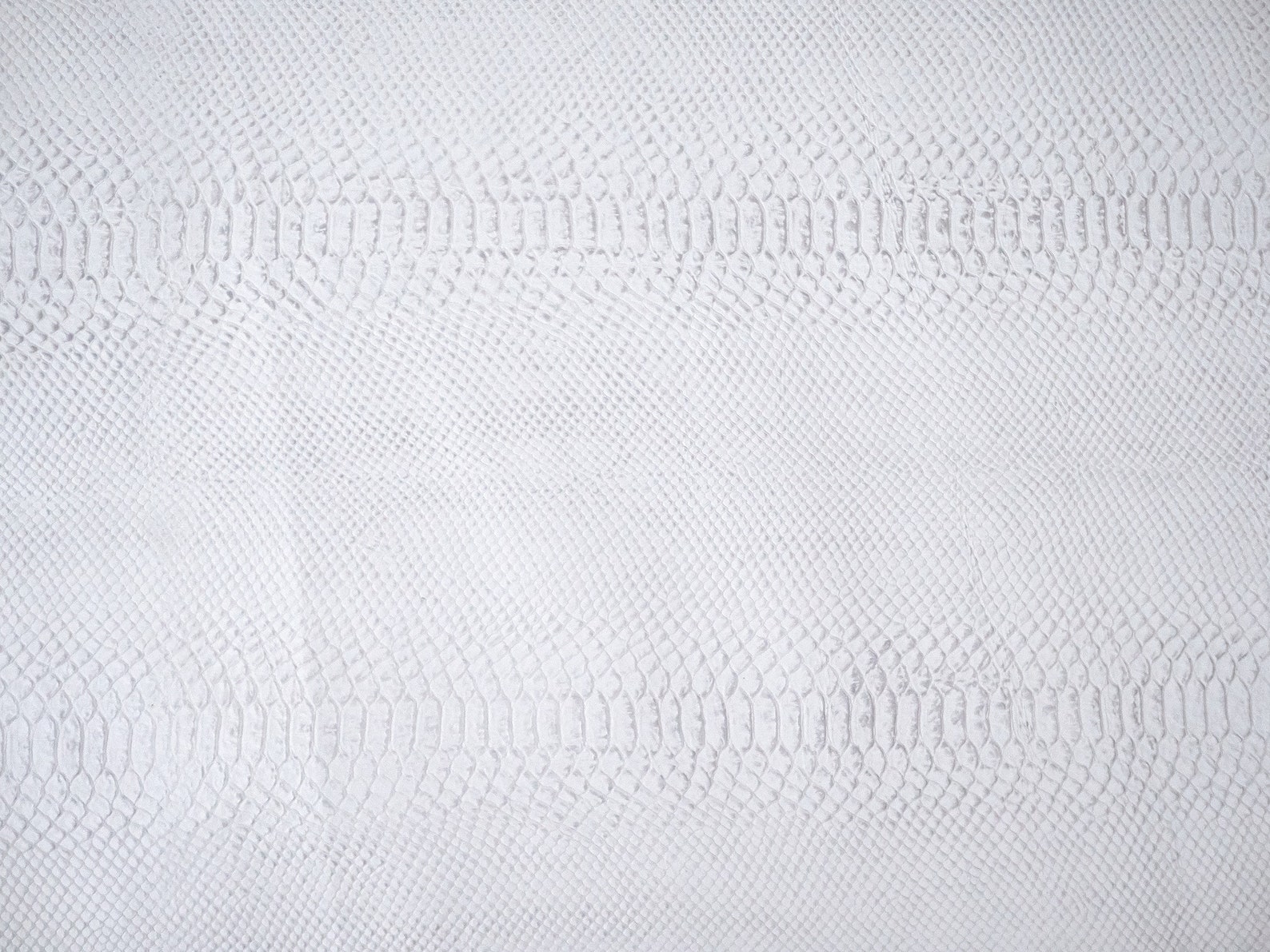 Embossed White Python W/ Silver Tipping Genuine Leather for Upholstery ...