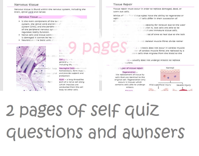9 Pages -tissue Nursing Revision Notes,- Anatomy and Physiology ...