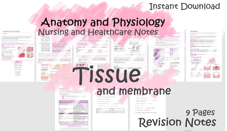 9 Pages -tissue Nursing Revision Notes,- Anatomy and Physiology ...