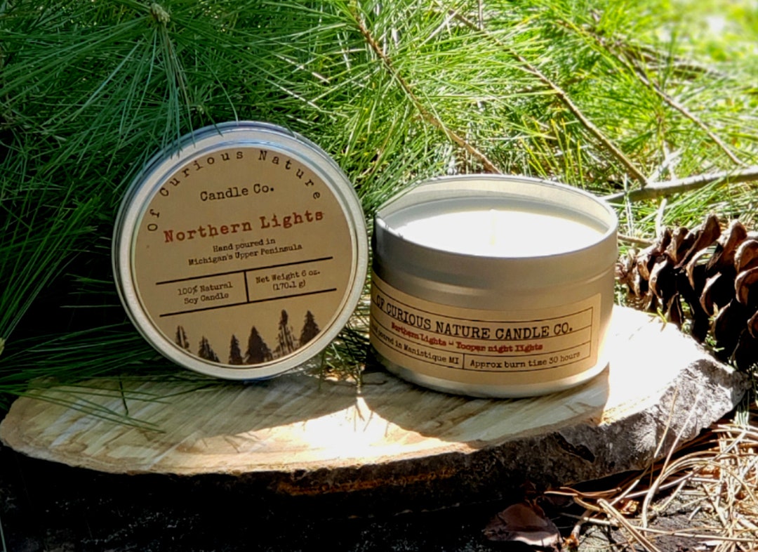 Northern Lights - Yooper Night Lights. Scent - Lavender Driftwood ...