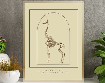 Giraffe Skeleton Art - Etsy