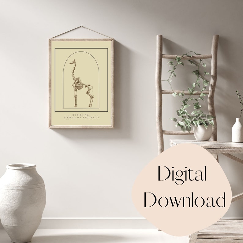 Giraffe Skeleton Art Print: Animal Anatomy (digital Download) - Etsy
