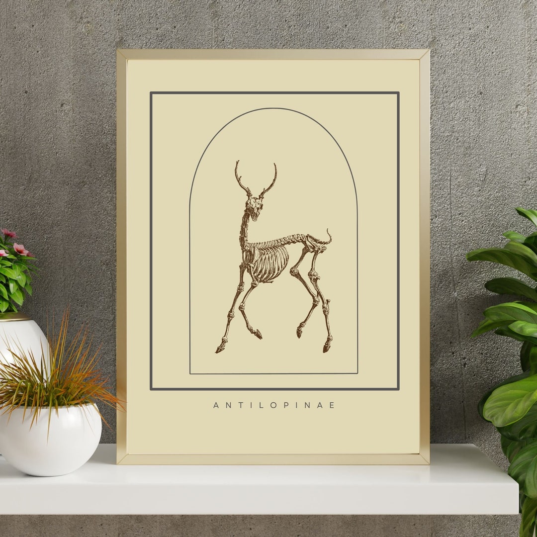 Minimalist Antelope Skeleton Print: Modern Wildlife Art (digital ...